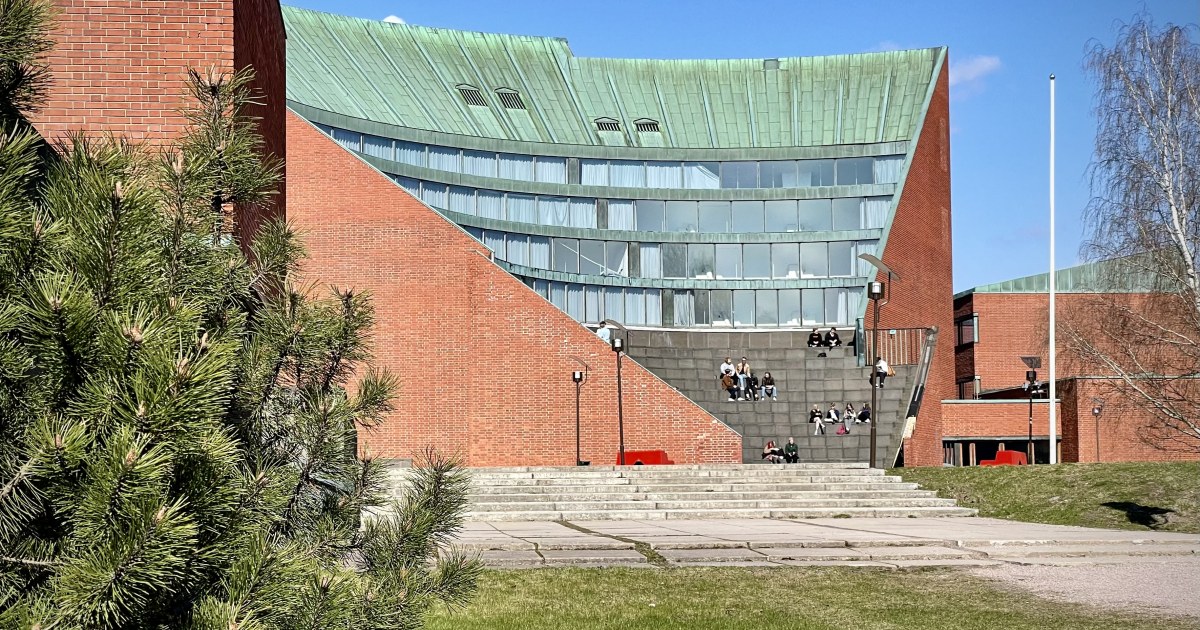 Alvar Aallon korvapuustit | TEK