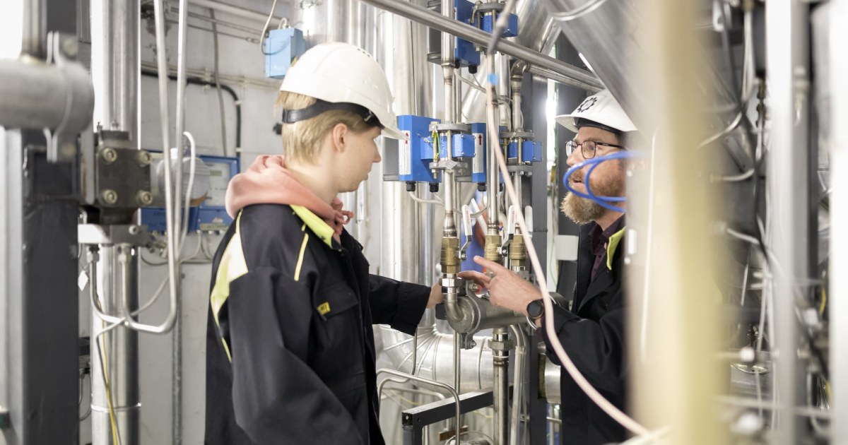 Five reasons why a summer job is your gateway to Finnish working life | TEK